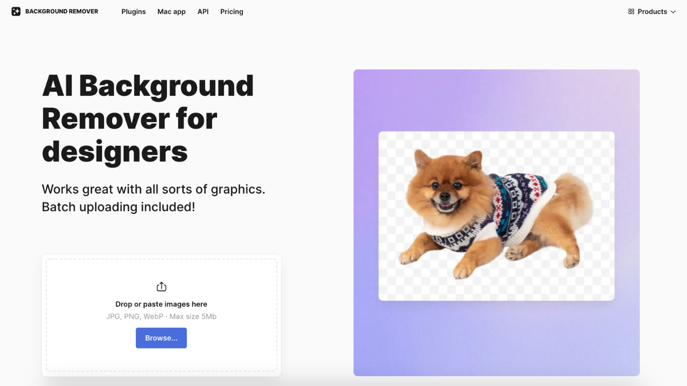 Icons8 Background Remover | SaaS AI Tools