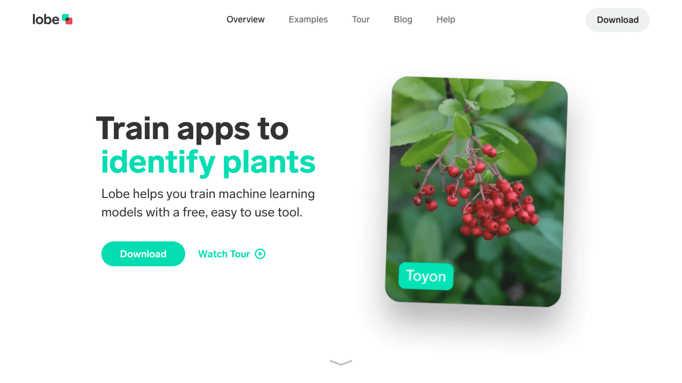 Lobe | SaaS AI Tools